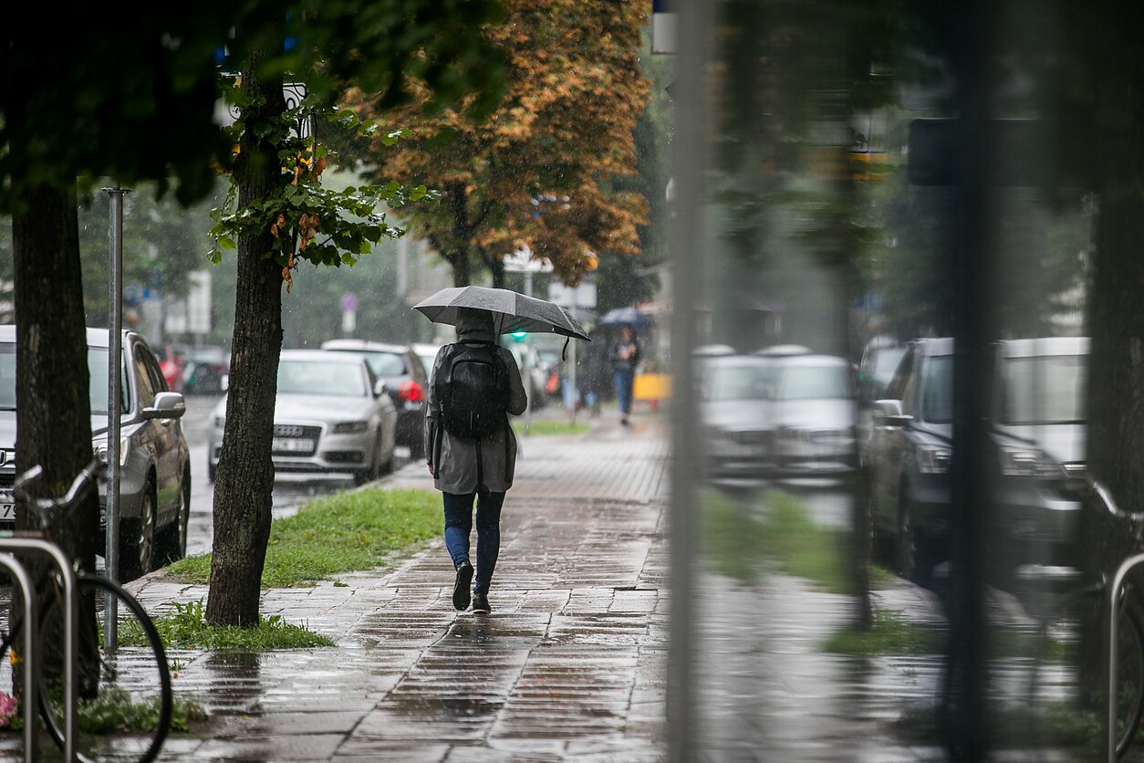 Visai nežiemiški orai: šils iki 8 laipsnių, pasipils lietus - LRT