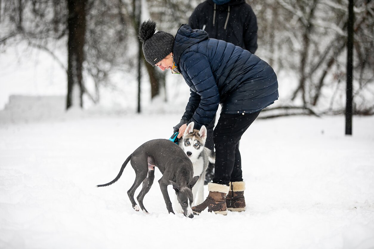 Orai: temperatūra vietomis kils ir iki 9 laipsnių šilumos, vietomis ...