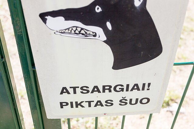 Specialios lazdos, šunų psichologijos išmanymas ar budintis kinologas ...