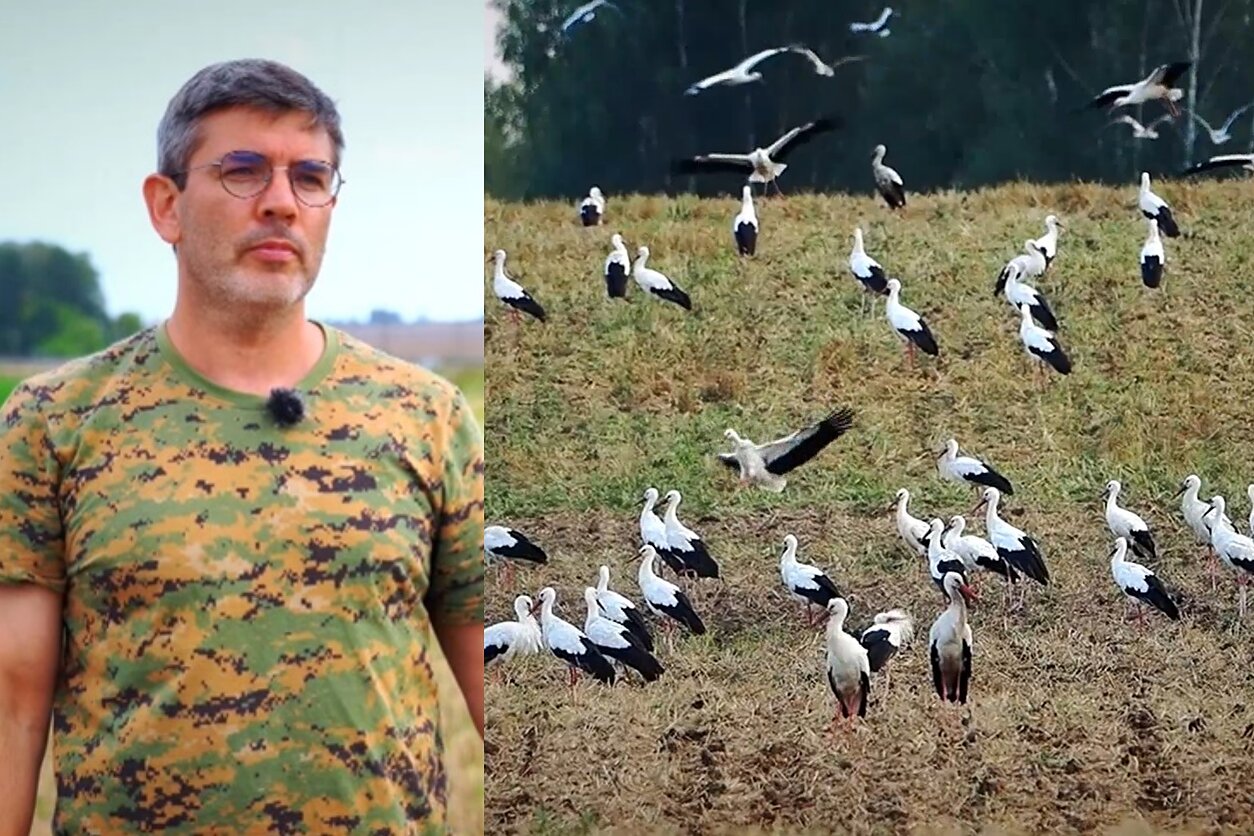 Net akys raibsta: Čepulis įamžino išskirtinį reginį, kaip į kelionę ...