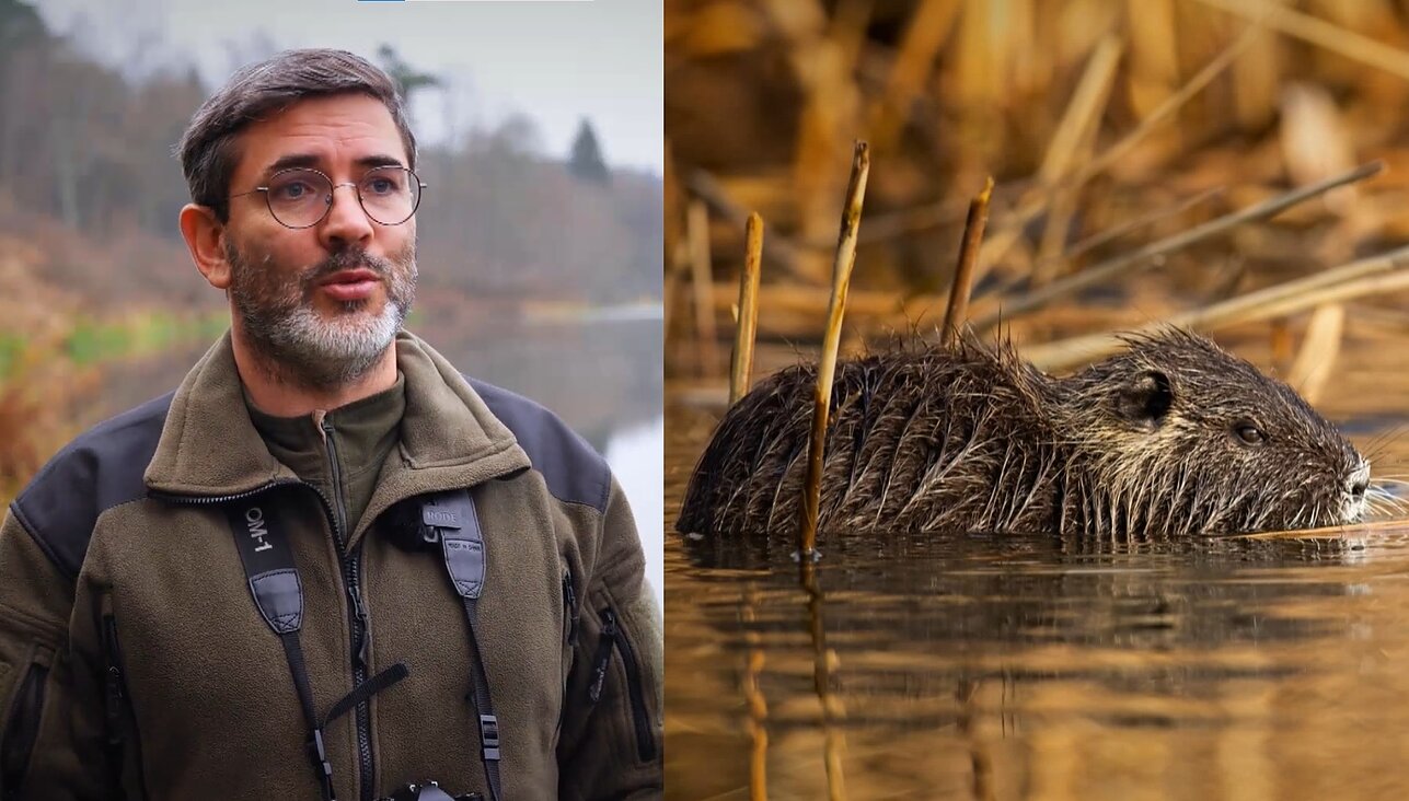 Gamtininko užrašai. Čepulis apie nutrijų pernešamus parazitus: vienas ...
