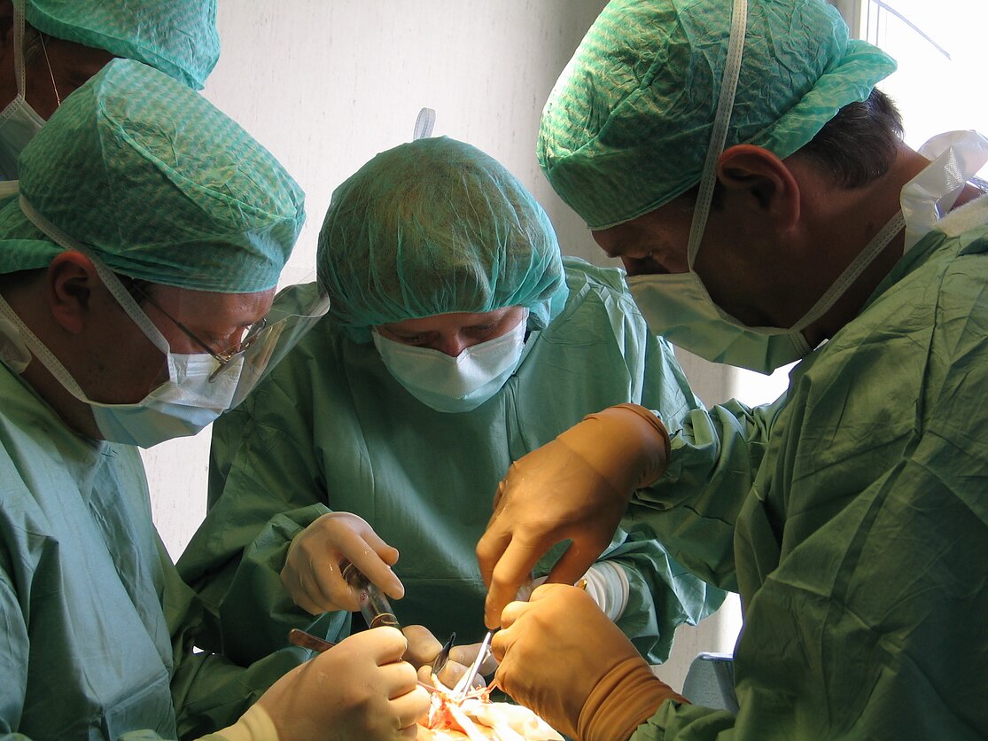 Pernai donorų organai ir audiniai persodinti 450 sunkių Lietuvos ...