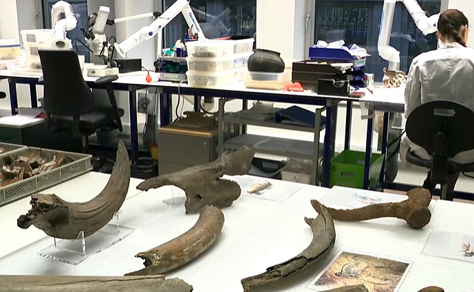 Briuselis traukia archeologų dėmesį – čia vėl rasta priešistorinių ...