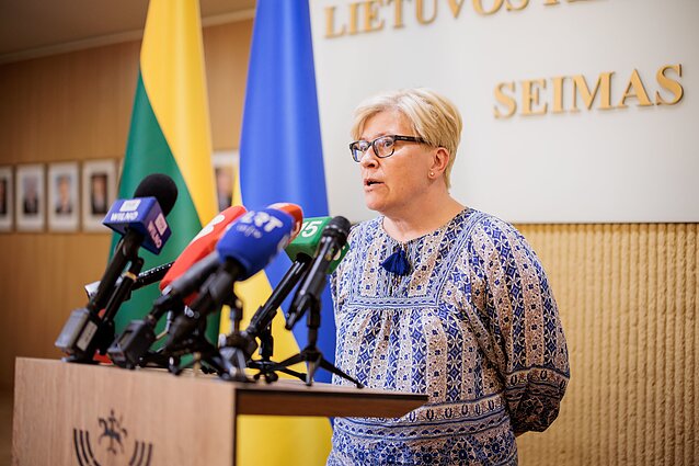 Šimonytė: mokyklų reitingai paprastai yra toks sintetinis dalykas - LRT