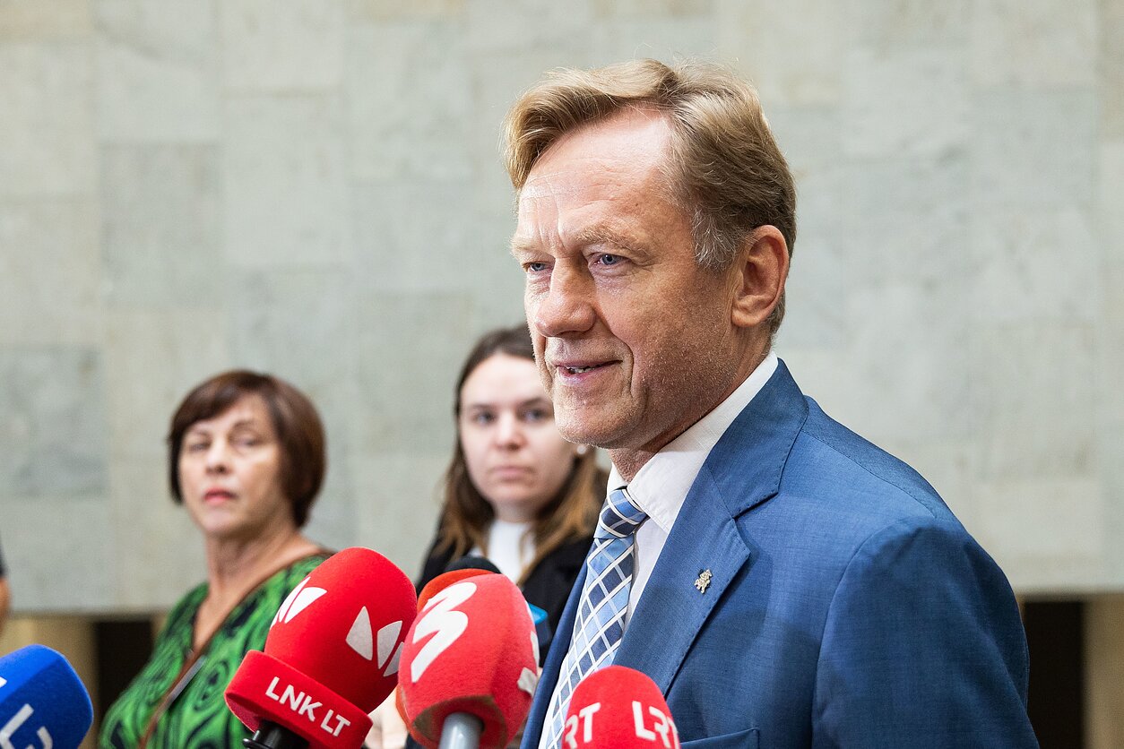 Tęsiantis kultūros ministro paieškoms, Birutis kritikuoja socdemus ...
