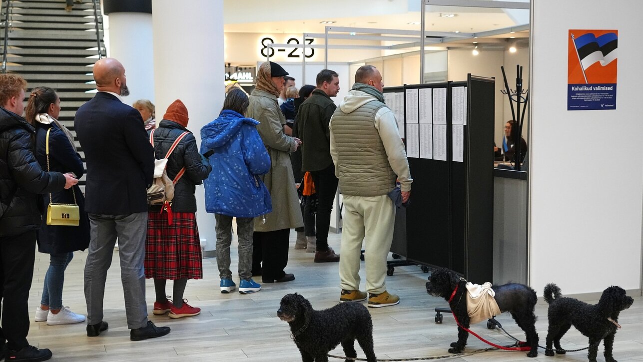 Savivaldos rinkimai Estijoje: balsuoti negalėjo 70 tūkst. tokią teisę ...