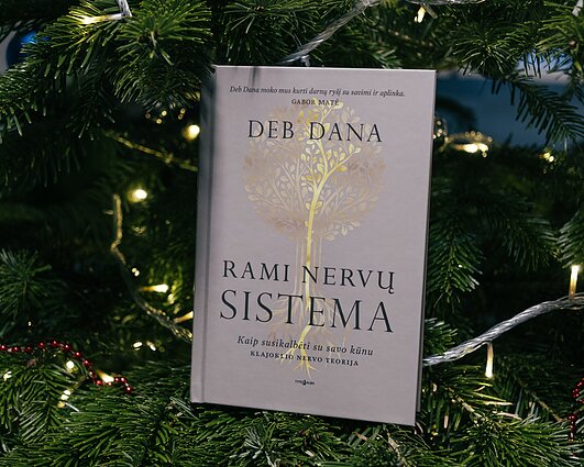 Rami nervų sistema: kaip pasijusti saugiai šiandienos nerimo kultūroje ...